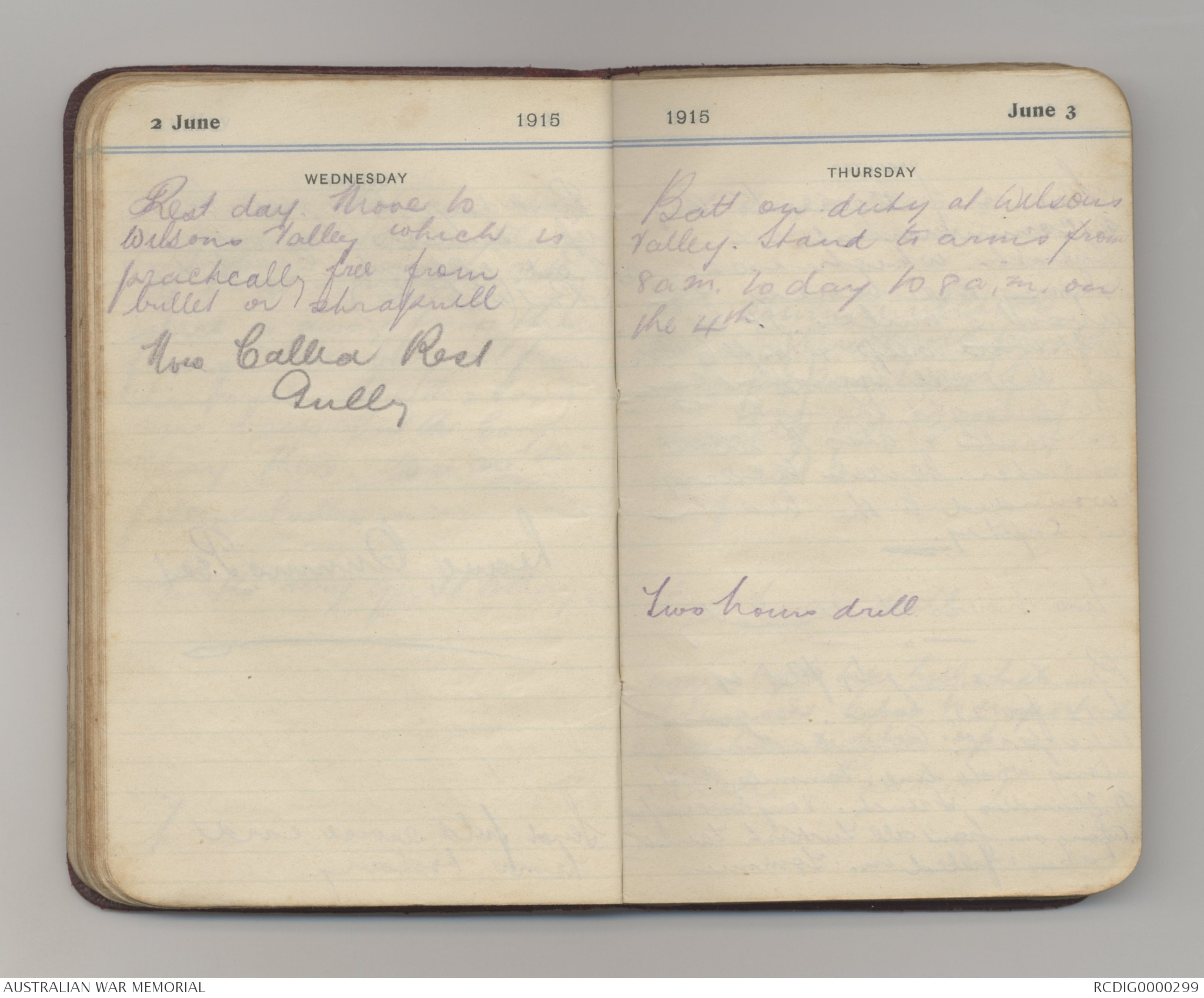 Diary of Samuel Hedley Hemming Hawkins, 1914-1916 - Part 8 | Transcribe